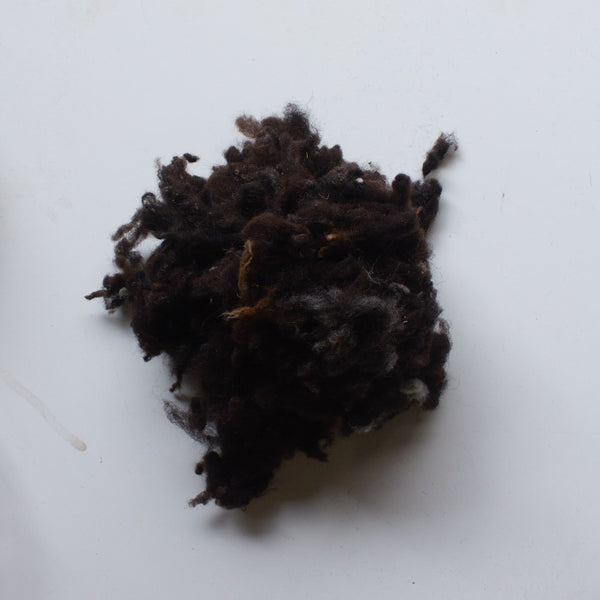 Organic Scoured Shetland Wool - Garthenor Organic