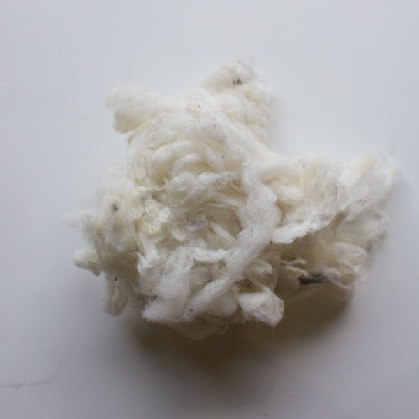 Organic Scoured Shetland/Cheviot Wool - Garthenor Organic