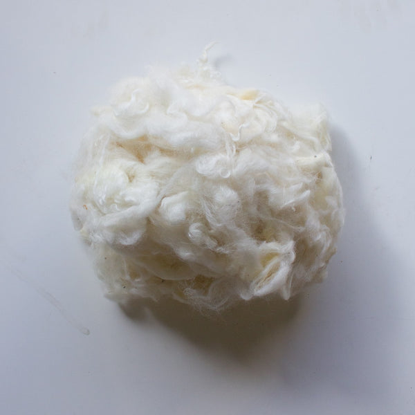 Organic Scoured Cotswold Wool - Garthenor Organic