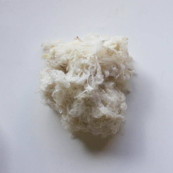 Organic Scoured Romney Lambswool - Garthenor Organic